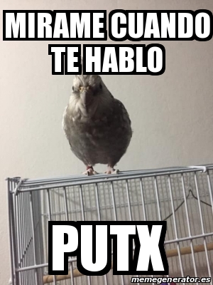 Meme Personalizado - mirame cuando te hablo putx - 30750667