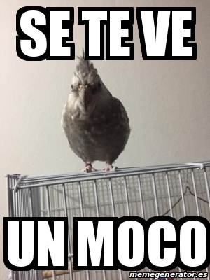 Meme Personalizado - Se te ve un moco - 30750671