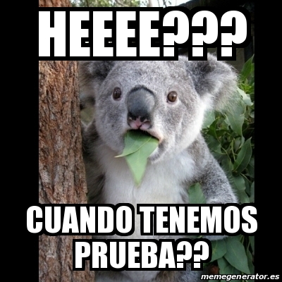 Meme Koala - heeee??? cuando tenemos prueba?? - 30751120