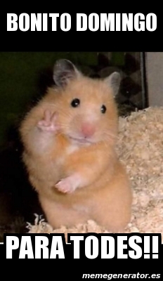 Meme Personalizado - Bonito domingo Para todes!! - 30753984