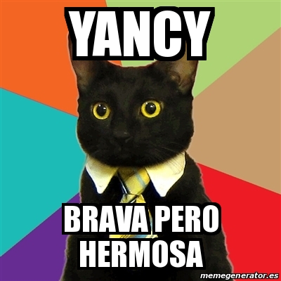 Meme Business Cat - YANCY Brava pero HERMOSA - 30754610