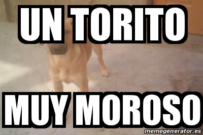 Meme Personalizado - Un torito Muy moroso - 30761424