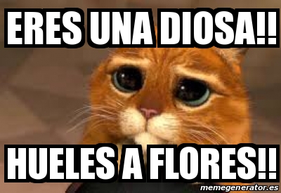 Meme Personalizado - Eres una diosa!! Hueles a flores!! - 30763604