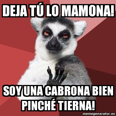 Meme Chill Out Lemur - Deja tÃº lo Mamona! Soy una Cabrona bien PinchÃ ...