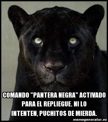 Meme Personalizado - COMANDO "PANTERA NEGRA" ACTIVADO PARA EL REPLIEGUE ...