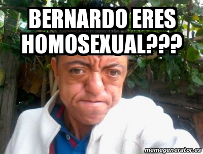 Meme Personalizado - bernardo eres homosexual??? - 30773032