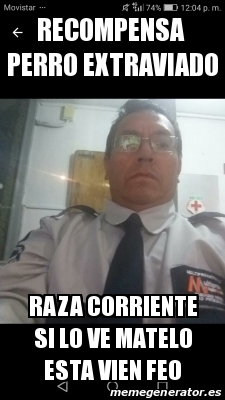 Meme Personalizado - Recompensa perro extraviado Raza corriente si lo ...