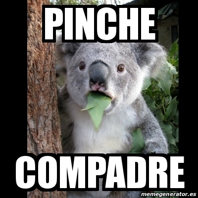 Meme Koala - Pinche Compadre - 30779625