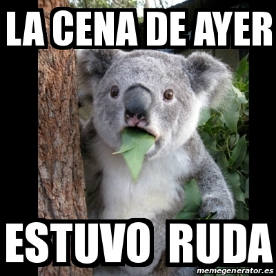 Meme Koala - la cena de AYER estuvo ruda - 30787655