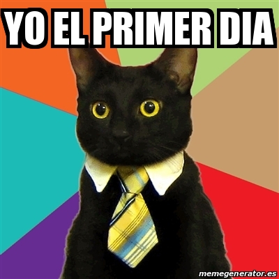 Meme Business Cat - Yo el primer dia - 30788983