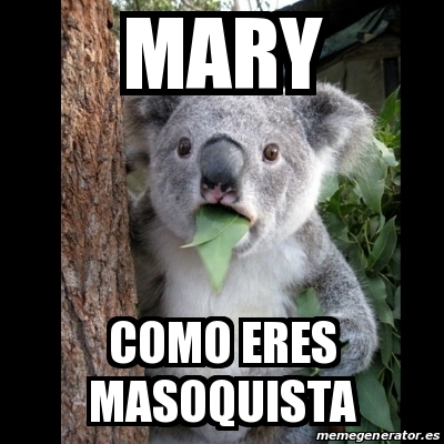 Meme Koala - Mary Como eres masoquista - 30791364