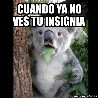 Meme Koala - Cuando ya no ves tu insignia - 30794946