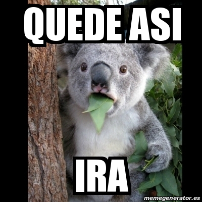 Meme Koala - quede asi ira - 30085275
