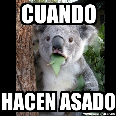 Meme Koala - cuando hacen asado - 30089519