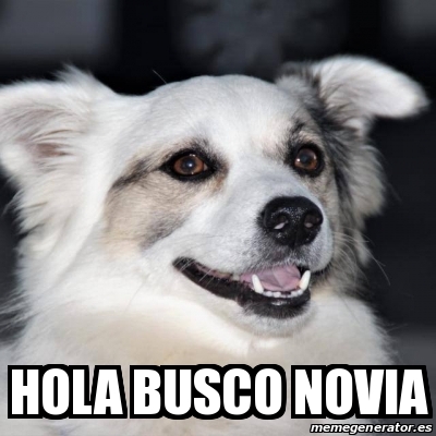 Meme Personalizado - Hola busco novia - 30804112