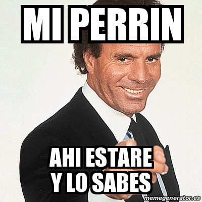 Meme Julio Iglesias - Mi perrin Ahi estare y lo sabes - 30812191