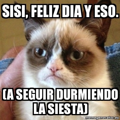 Meme Grumpy Cat - sisi, Feliz dia y eso. (a seguir durmiendo la siesta ...