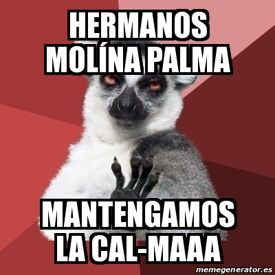Meme Chill Out Lemur - Hermanos molÃ­na palma Mantengamos la cal-maaa ...