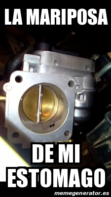 Meme Personalizado - la mariposa de mi estomago - 30829426