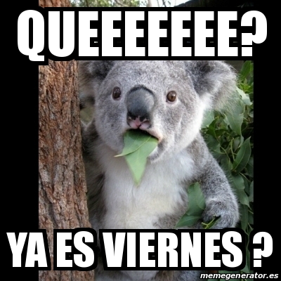 Meme Koala - queeeeeee? ya es viernes ? - 30830402