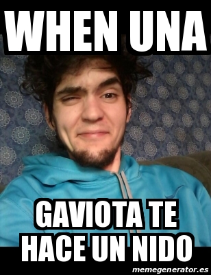 Memes De Nido