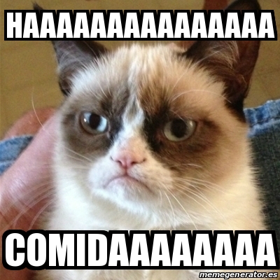 Meme Grumpy Cat - haaaaaaaaaaaaaaa comidaaaaaaaa - 30833992