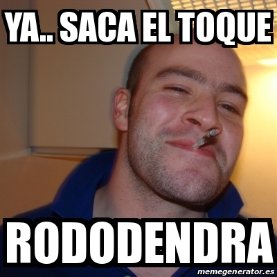 Meme Greg - Ya.. saca el Toque Rododendra - 30834676