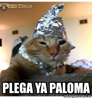 Memes Da Paloma
