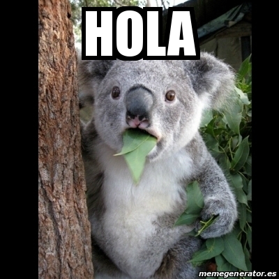 Meme Koala - Hola - 30836335