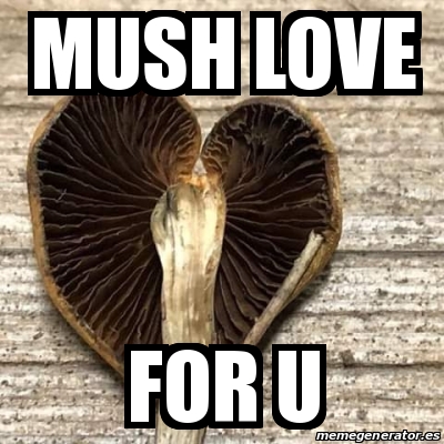Meme Personalizado - Mush love For u - 30837455