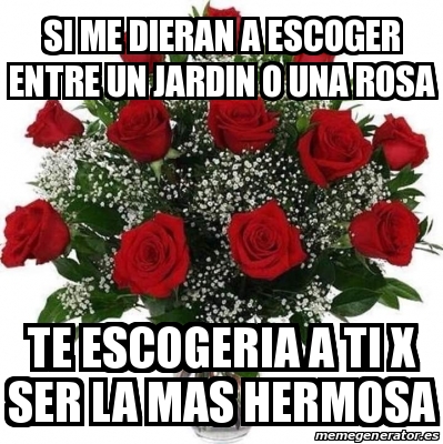 Meme Personalizado - Si me dieran a escoger entre un jardin o una rosa ...