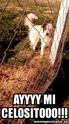 Meme Personalizado - Ayyyy mi celositooo!!! - 30840131