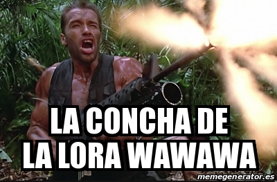 Meme Personalizado - la concha de la lora wawawa - 30841560