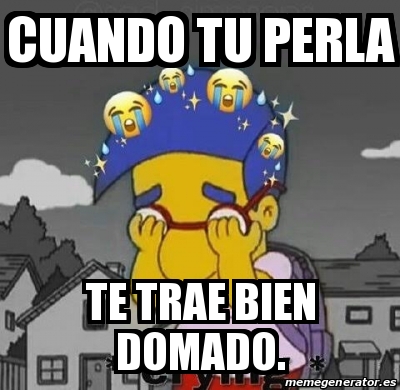 Meme Personalizado - Cuando tu Perla Te trae bien domado. - 30843145