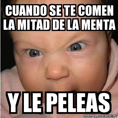 Meme Bebe furioso - cuando se te comen la mitad de la menta y le peleas ...