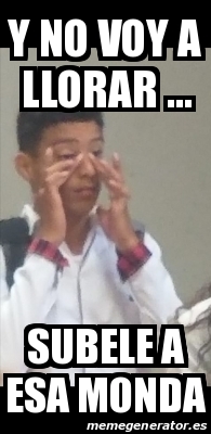 Meme Personalizado - Y No Voy A Llorar ... subele a esa monda - 30847595