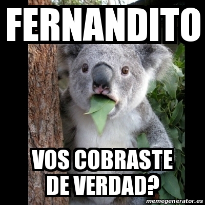 Meme Koala - fernandito vos cobraste de verdad? - 30854312