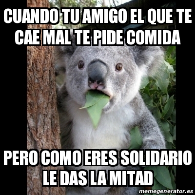 Meme Koala - Cuando tu amigo el que te cae mal te pide comida Pero como ...