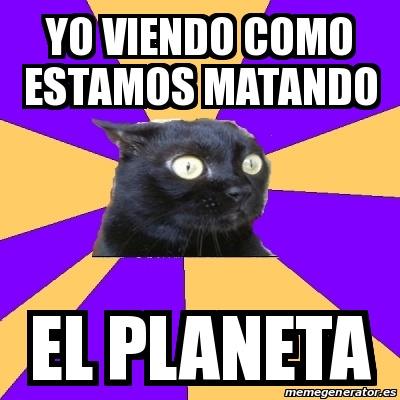 Meme Anxiety Cat - yo viendo como estamos matando el planeta - 30881972