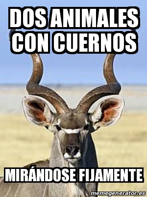 Meme Personalizado - dos animales con cuernos mirÃ¡ndose fijamente ...