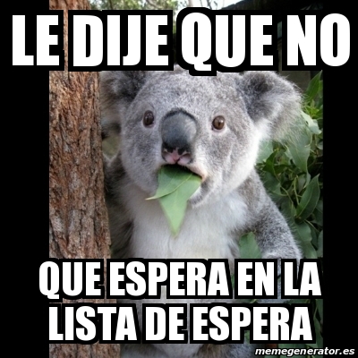 Meme Koala - le dije que no que espera en la lista de espera - 30893151