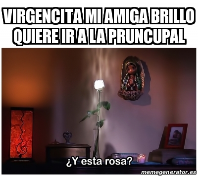 Meme Personalizado - Virgencita mi amiga Brillo quiere ir a la ...