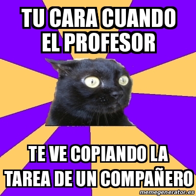 Meme Anxiety Cat - tu cara cuando el profesor te ve copiando la tarea ...