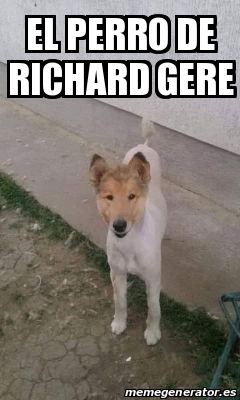 Meme Personalizado - El perro de Richard Gere - 30907166