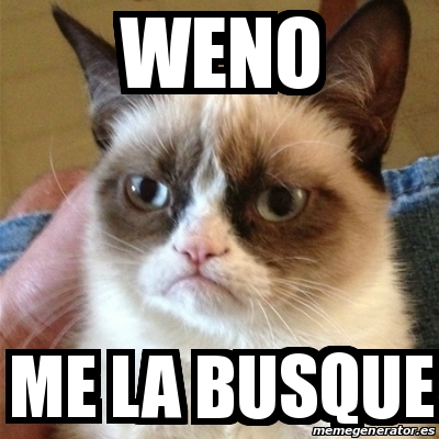 Meme Grumpy Cat - weno me la busque - 30909423