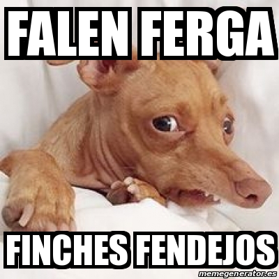 Meme Personalizado - Falen ferga Finches fendejos - 30916516