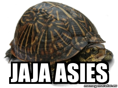 Meme Personalizado - jaja asies - 30918792