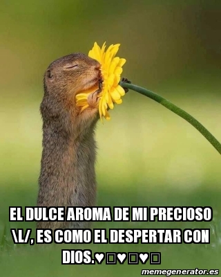 Meme Personalizado - El dulce aroma de mi precioso \L/, es como el ...