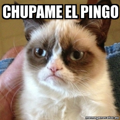 Meme Grumpy Cat - chupame el pingo - 30919659