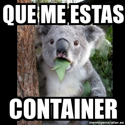 Meme Koala - Que me estas Container - 30923271